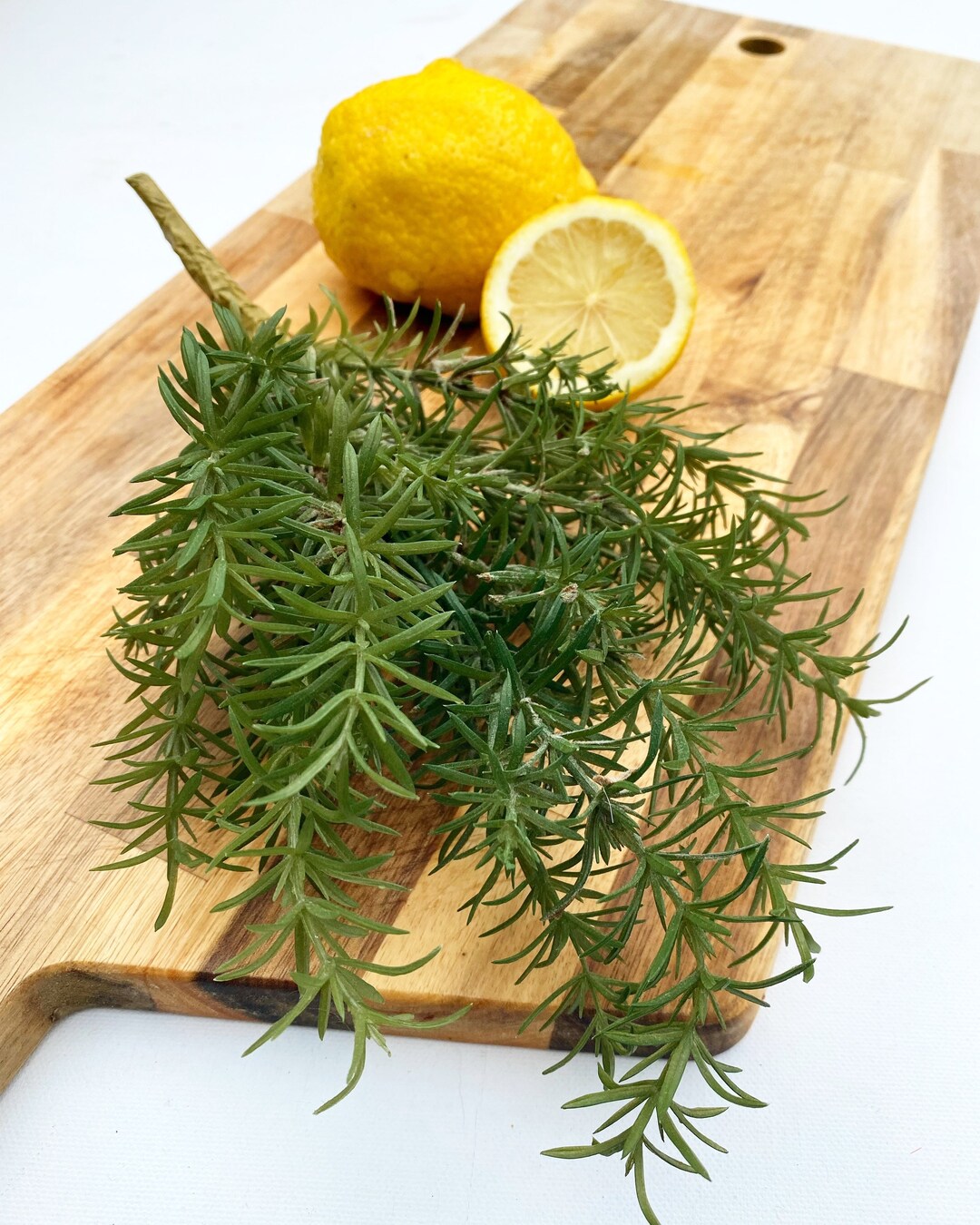 Artificial Rosemary Bush: Charcuterie Board Greenery, Tablescaping Prop ...