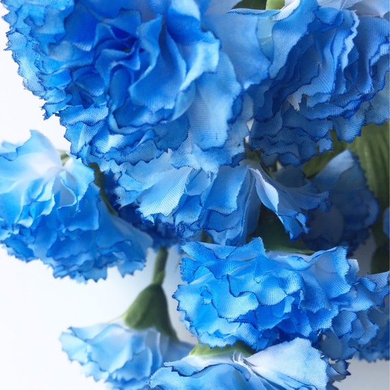 Light Blue Carnations