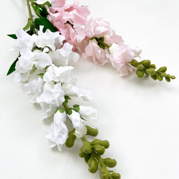 Snapdragon - Etsy