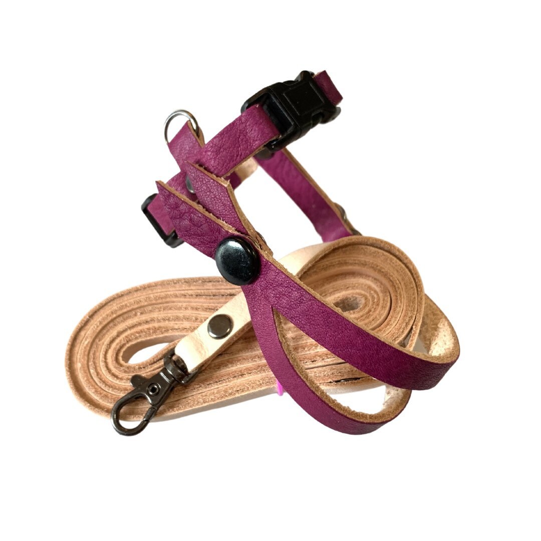 SIZE 2 60-80g LEATHERS4FEATHERS Leather Bird Harness Avian - Etsy