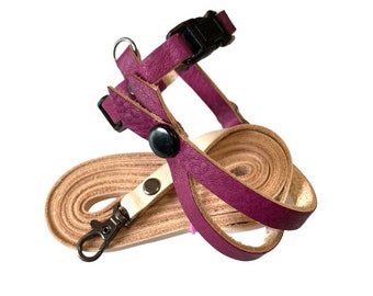 Conure Bird Harness - Etsy