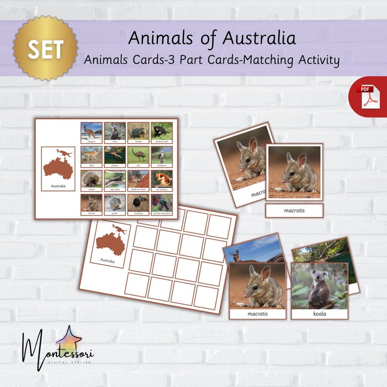 Australian Animals-montessori Australian Animals-animals of Australia ...