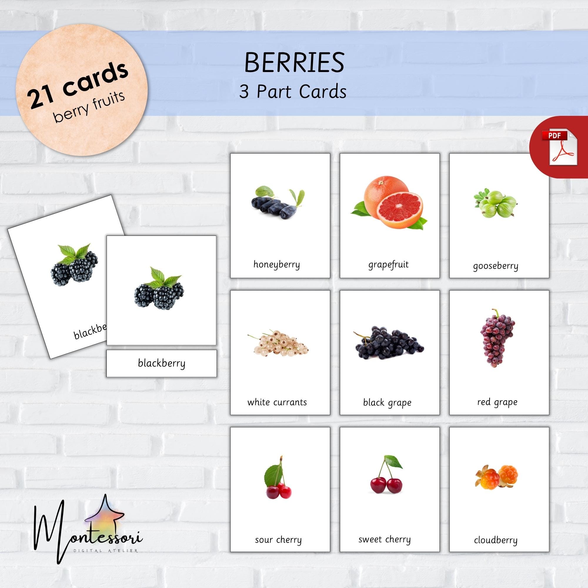 Berries-montessori Fruits Flashcards for Kids–berry Fruits-berries ...