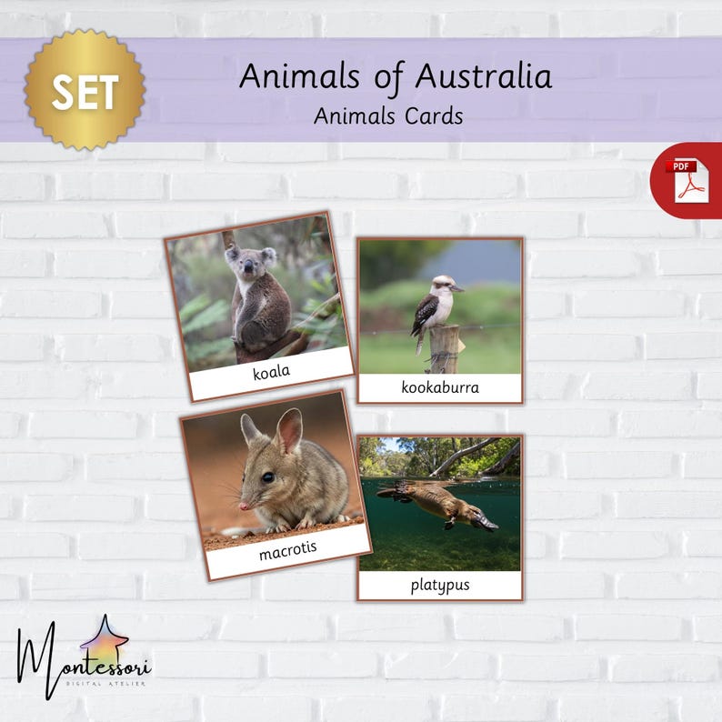 Australian Animals-montessori Australian Animals-animals of Australia ...
