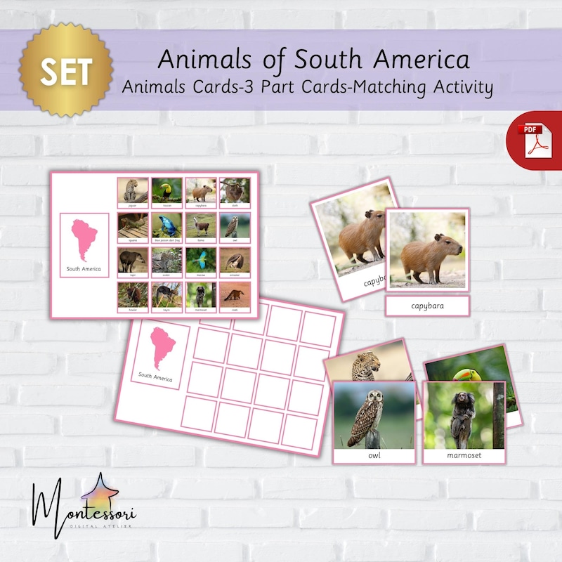 MontessoriDigitalAtl - Etsy