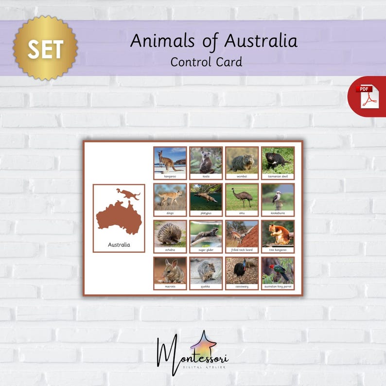 Australian Animals-montessori Australian Animals-animals of Australia ...