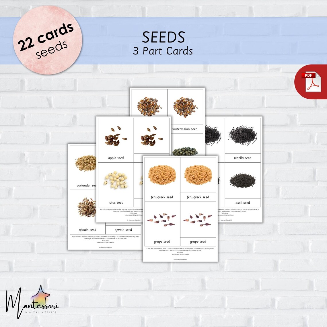 Montessori Seeds Flashcards: 3-part Cards, Seed Identification (PDF ...