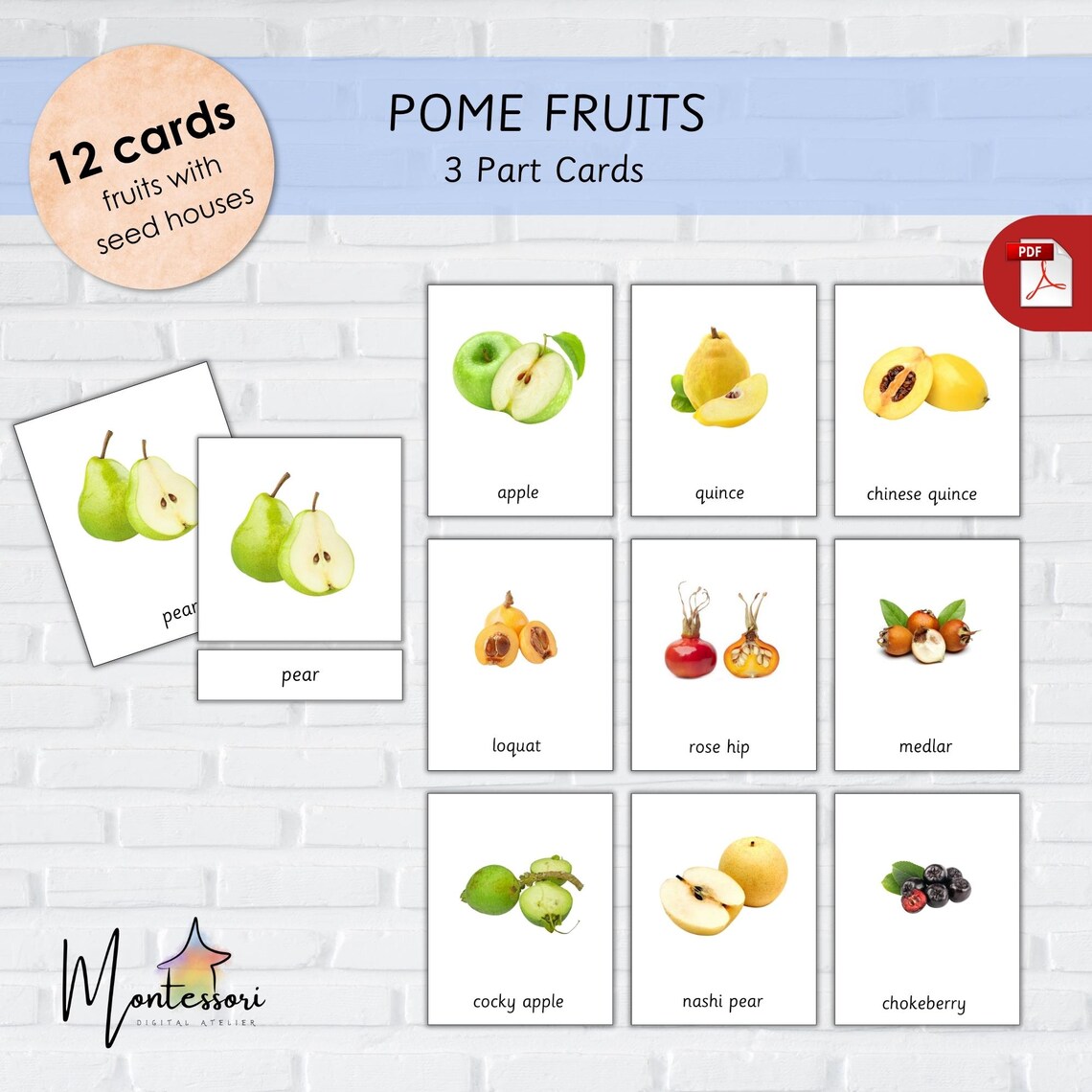 Montessori Pome Fruits Flashcards: Botany 3-part Cards (PDF Download ...