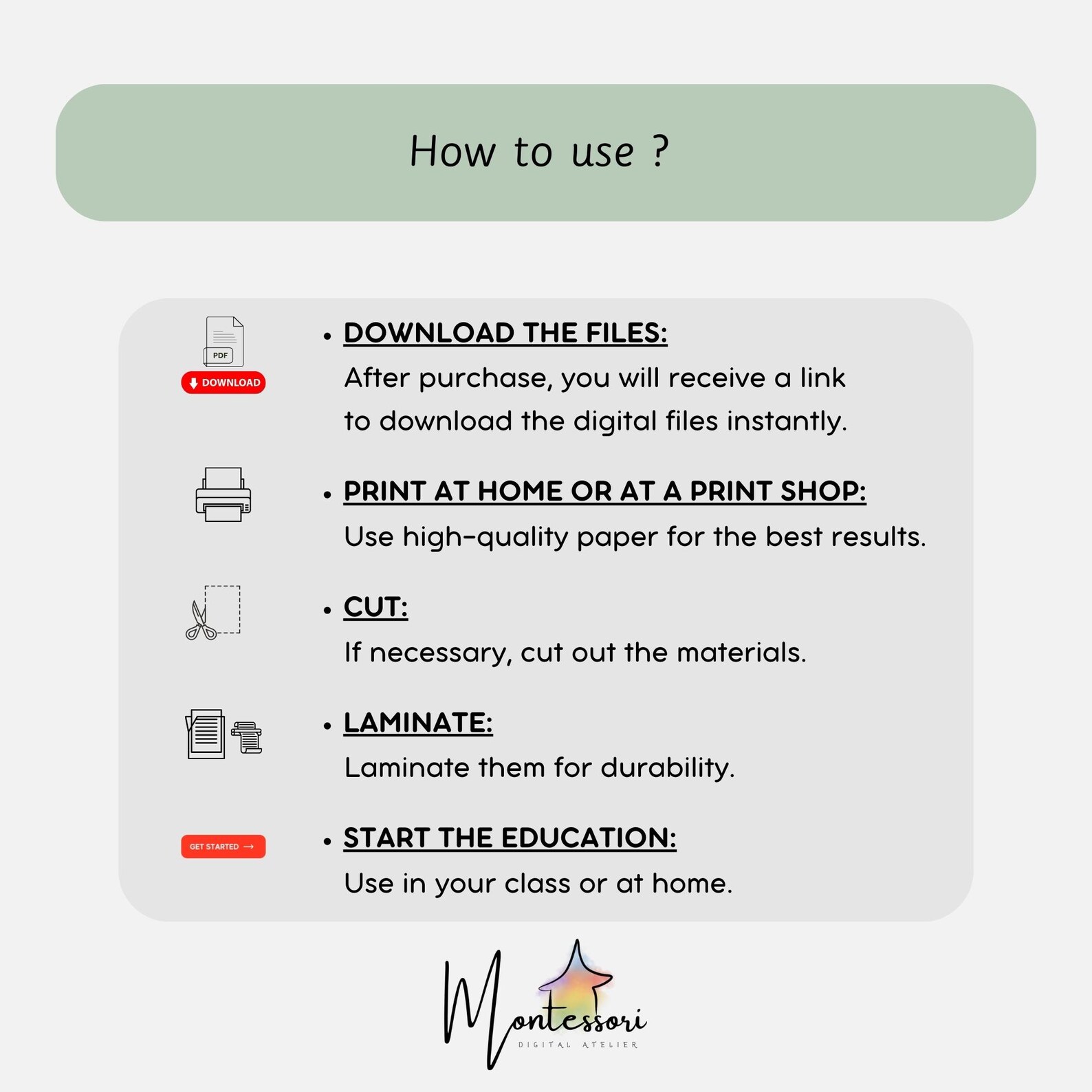 Ladybug Life Cycle Cards–printable Life Cycle of a Ladybug-ladybug ...