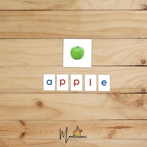 Montessori Printable Movable Alphabet-montessori Movable Alphabet ...