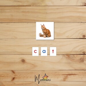 Montessori Printable Movable Alphabet-montessori Movable Alphabet ...