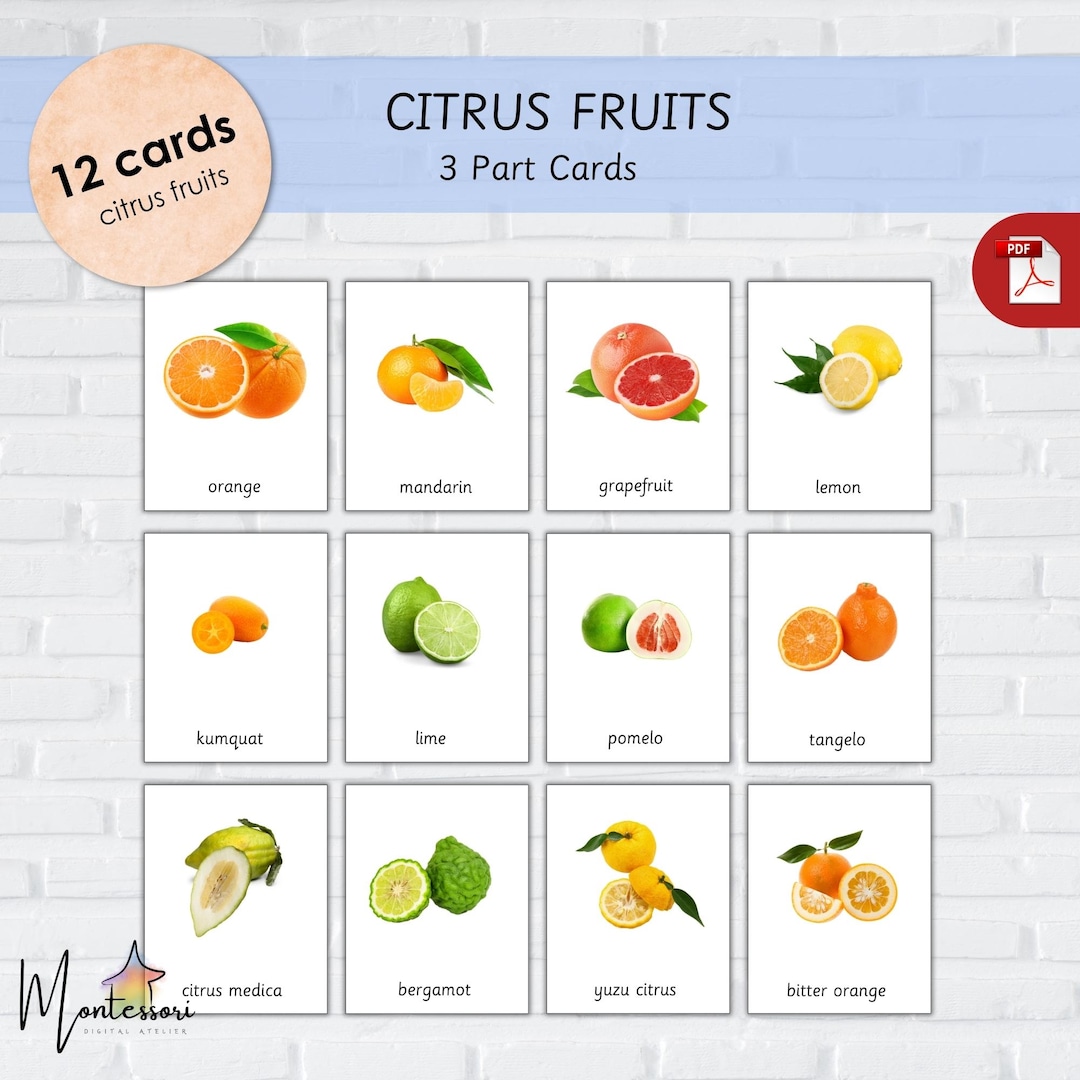 CITRUS Fruits-montessori Fruits Flashcards for Kids–citrus Fruits ...