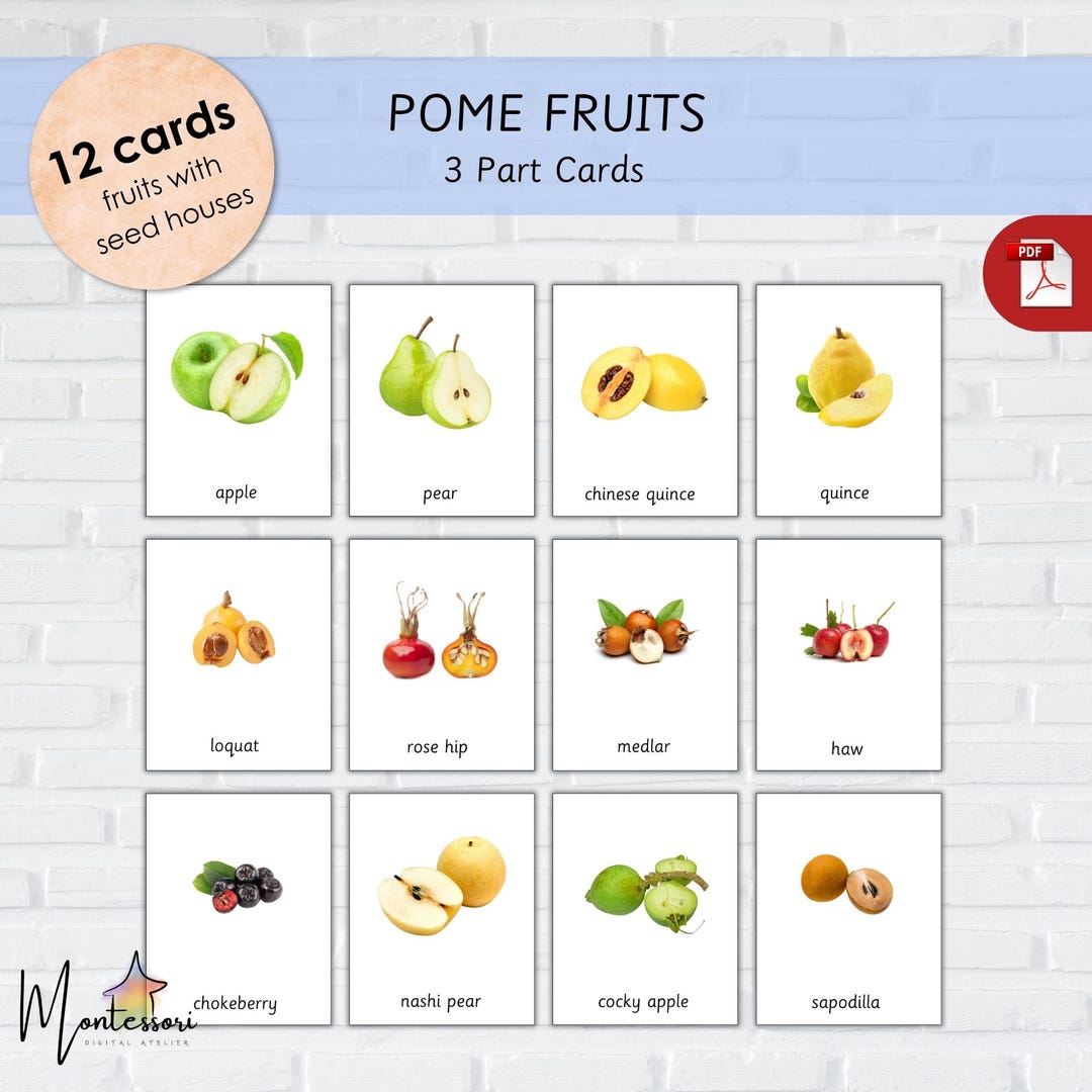 Montessori Pome Fruits Flashcards: Botany 3-part Cards (PDF Download ...