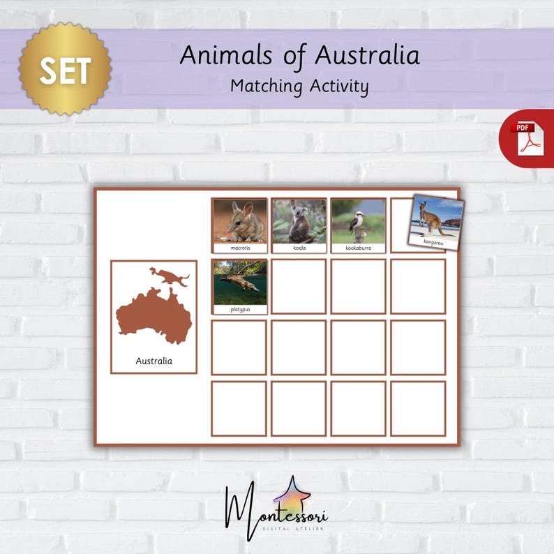 Australian Animals-montessori Australian Animals-animals of Australia ...