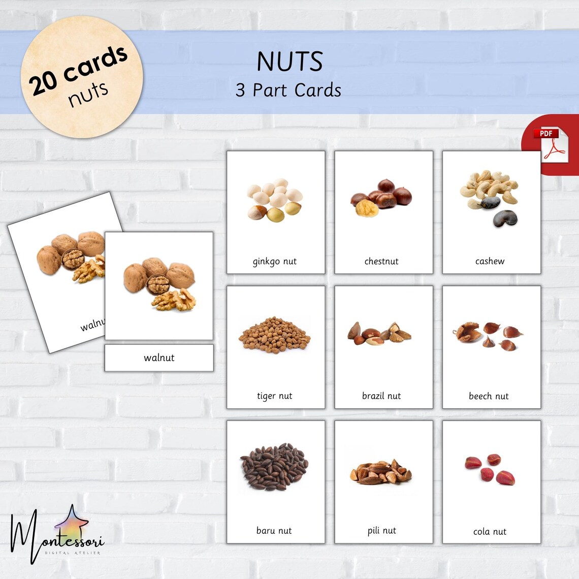 Nuts-montessori Nuts Flashcards–nuts Flashcards-walnut-cashew-acorn ...
