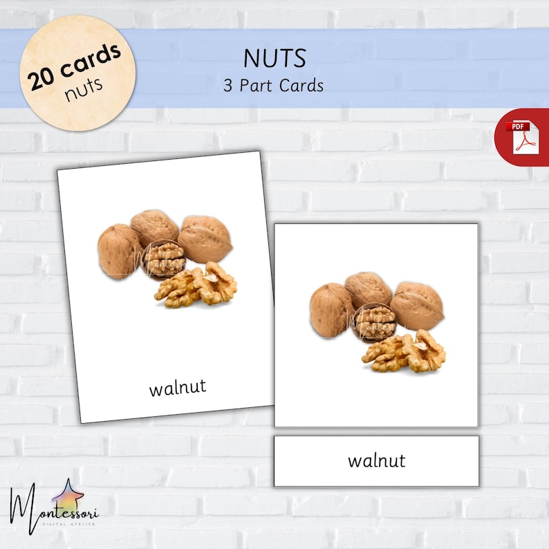 Nuts-montessori Nuts Flashcards–nuts Flashcards-walnut-cashew-acorn ...