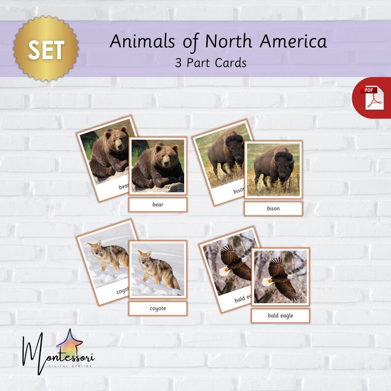 North America Animals-montessori North American Animals-printable North ...