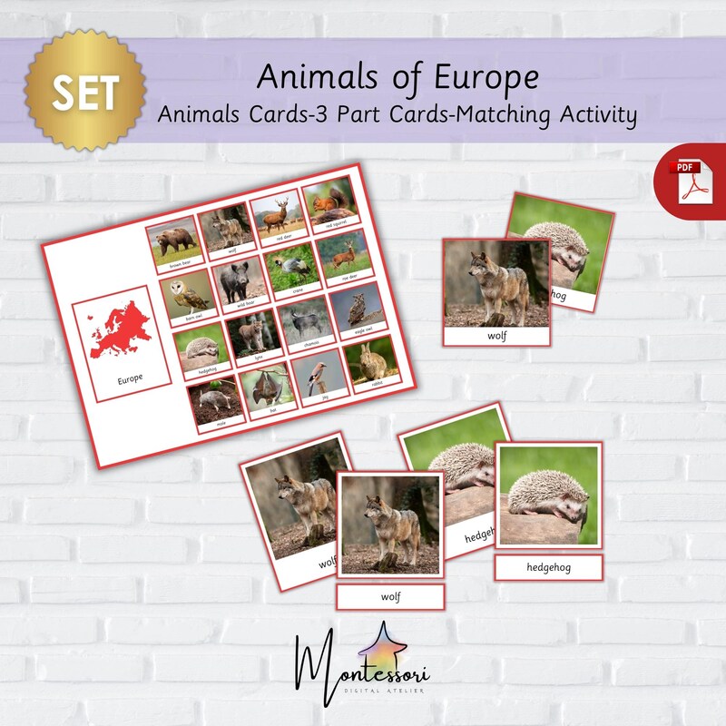 MontessoriDigitalAtl - Etsy