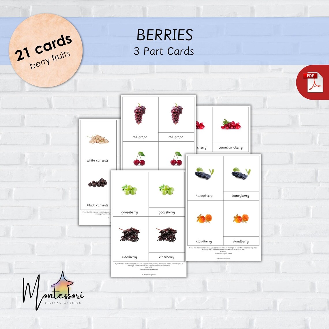 Berries-montessori Fruits Flashcards for Kids–berry Fruits-berries ...
