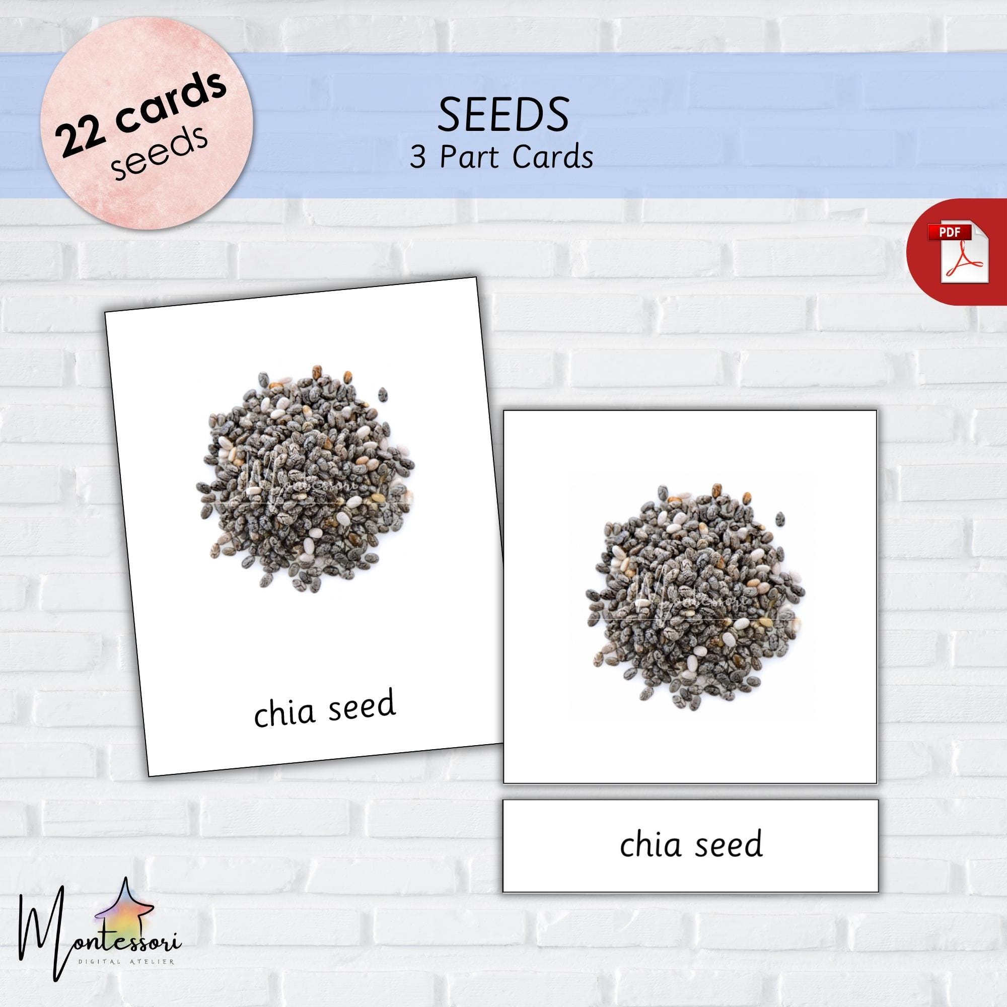 Montessori Seeds Flashcards: 3-part Cards, Seed Identification (PDF ...