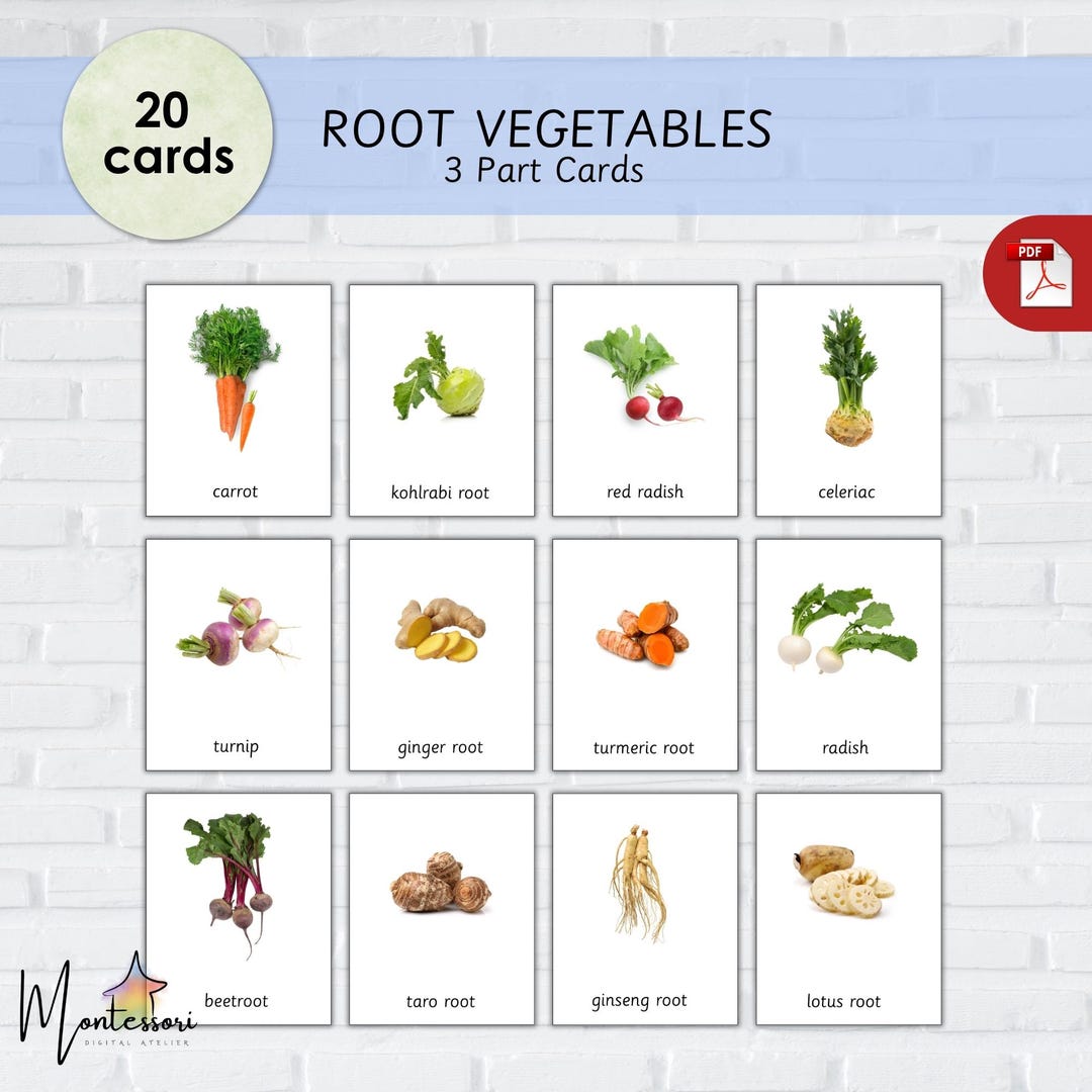 ROOT Vegetables-montessori Root Vegetables Cards-root Vegetables ...