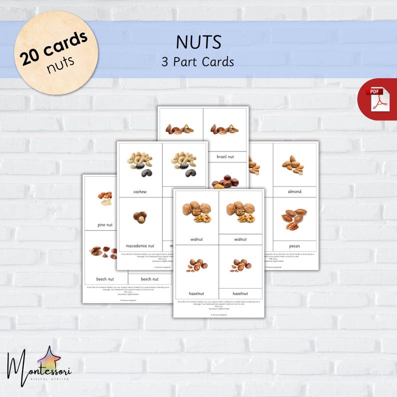 Nuts-montessori Nuts Flashcards–nuts Flashcards-walnut-cashew-acorn ...