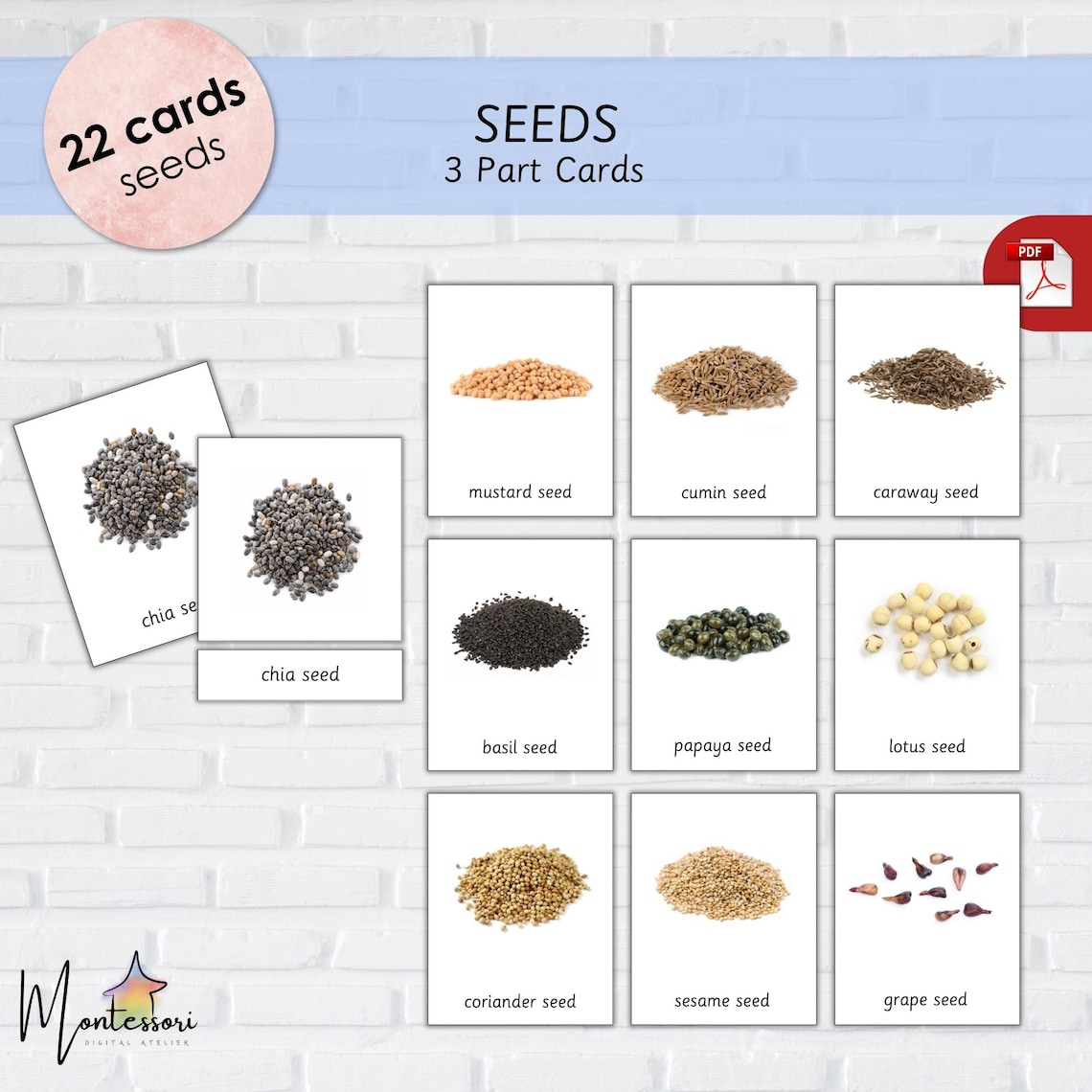 Montessori Seeds Flashcards: 3-part Cards, Seed Identification (PDF ...