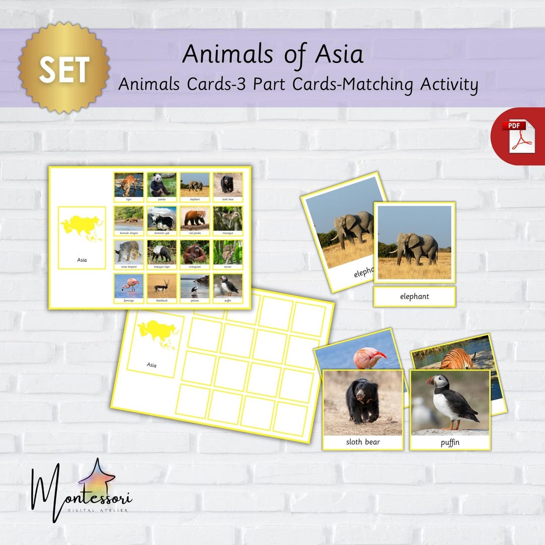 Animals of Asia-asia Animals-montessori Asian Animals-printable Asian ...