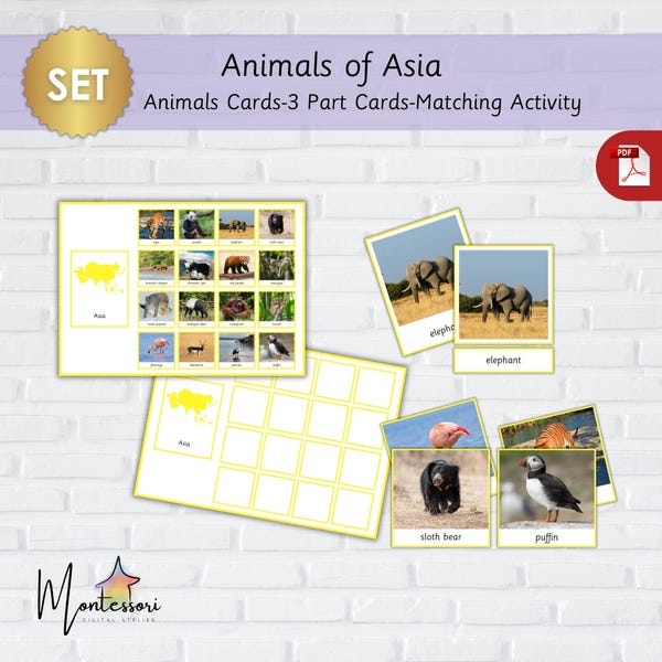 MontessoriDigitalAtl - Etsy