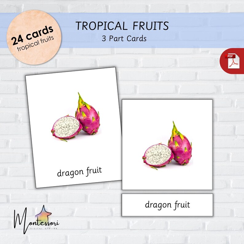 TROPICAL Fruits-montessori Fruits Flashcards for Kids–tropical Fruits ...