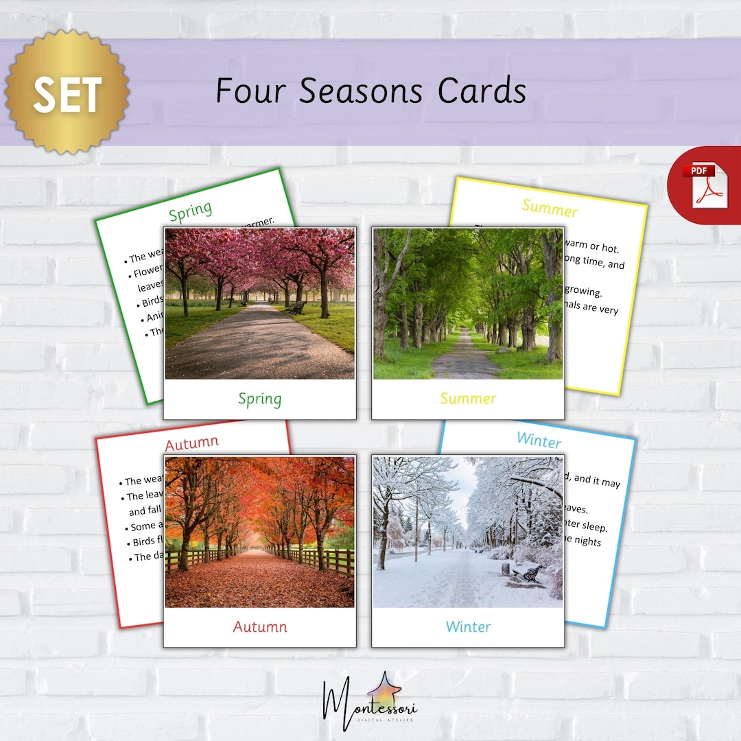FOUR SEASONS Cards Set-four Seasons Learning Set-montessori-months ...