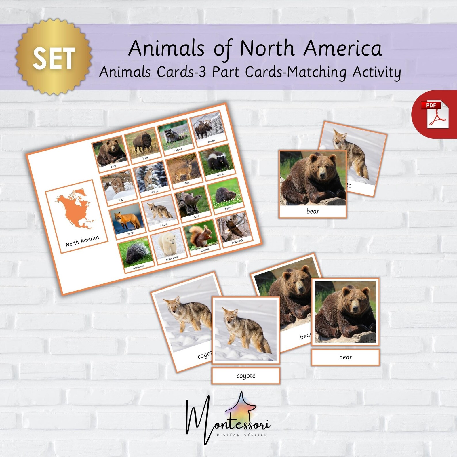North America Animals-montessori North American Animals-printable North ...