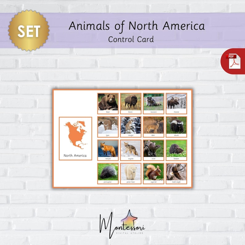 North America Animals-montessori North American Animals-printable North ...