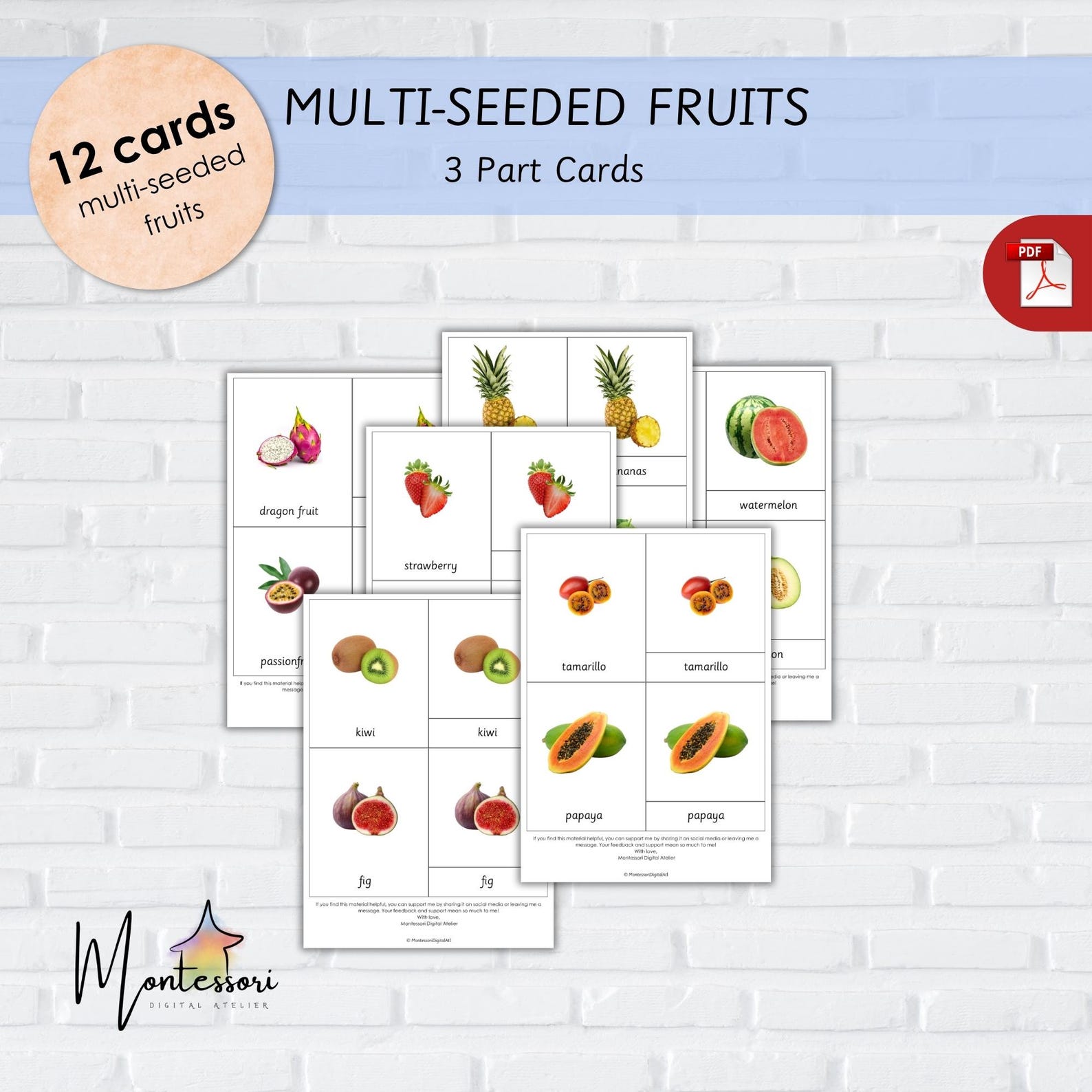Montessori Fruits Flashcards: Multi-seed Botany 3-part Cards (PDF ...