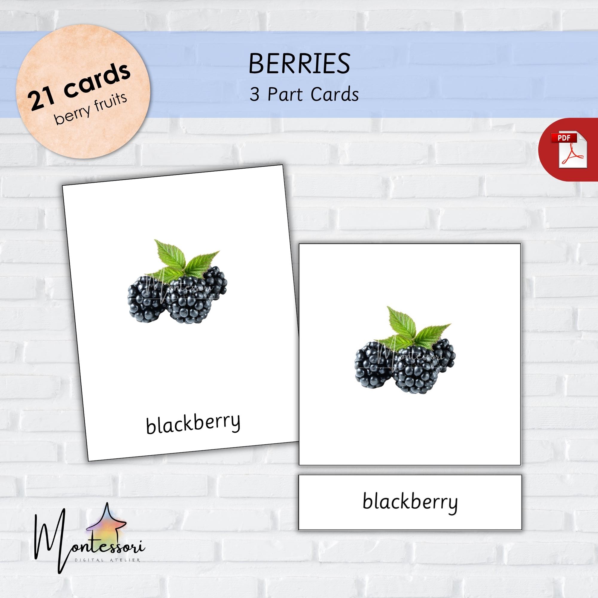 Berries-montessori Fruits Flashcards for Kids–berry Fruits-berries ...