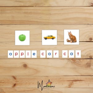 Montessori Printable Movable Alphabet-montessori Movable Alphabet ...