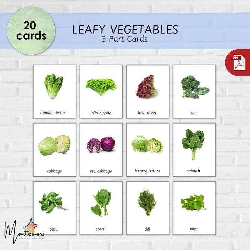 MontessoriDigitalAtl - Etsy