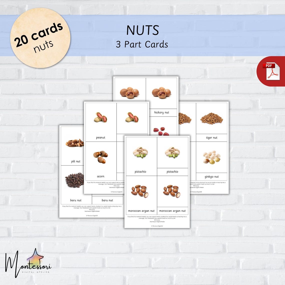 Nuts-montessori Nuts Flashcards–nuts Flashcards-walnut-cashew-acorn ...