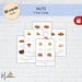 Nuts-montessori Nuts Flashcards–nuts Flashcards-walnut-cashew-acorn ...