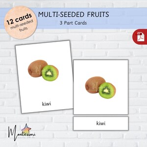Montessori Fruits Flashcards: Multi-seed Botany 3-part Cards (PDF ...