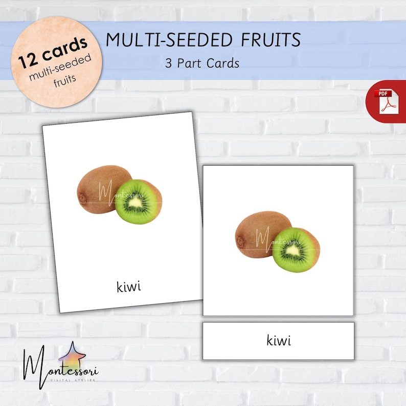 Montessori Fruits Flashcards: Multi-seed Botany 3-part Cards (PDF ...