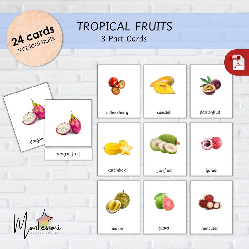 TROPICAL Fruits-montessori Fruits Flashcards for Kids–tropical Fruits ...