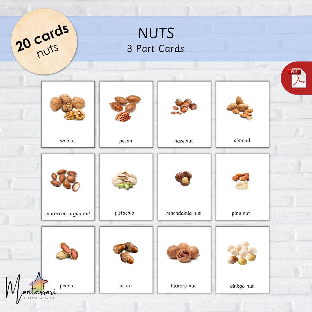 Nuts-montessori Nuts Flashcards–nuts Flashcards-walnut-cashew-acorn ...