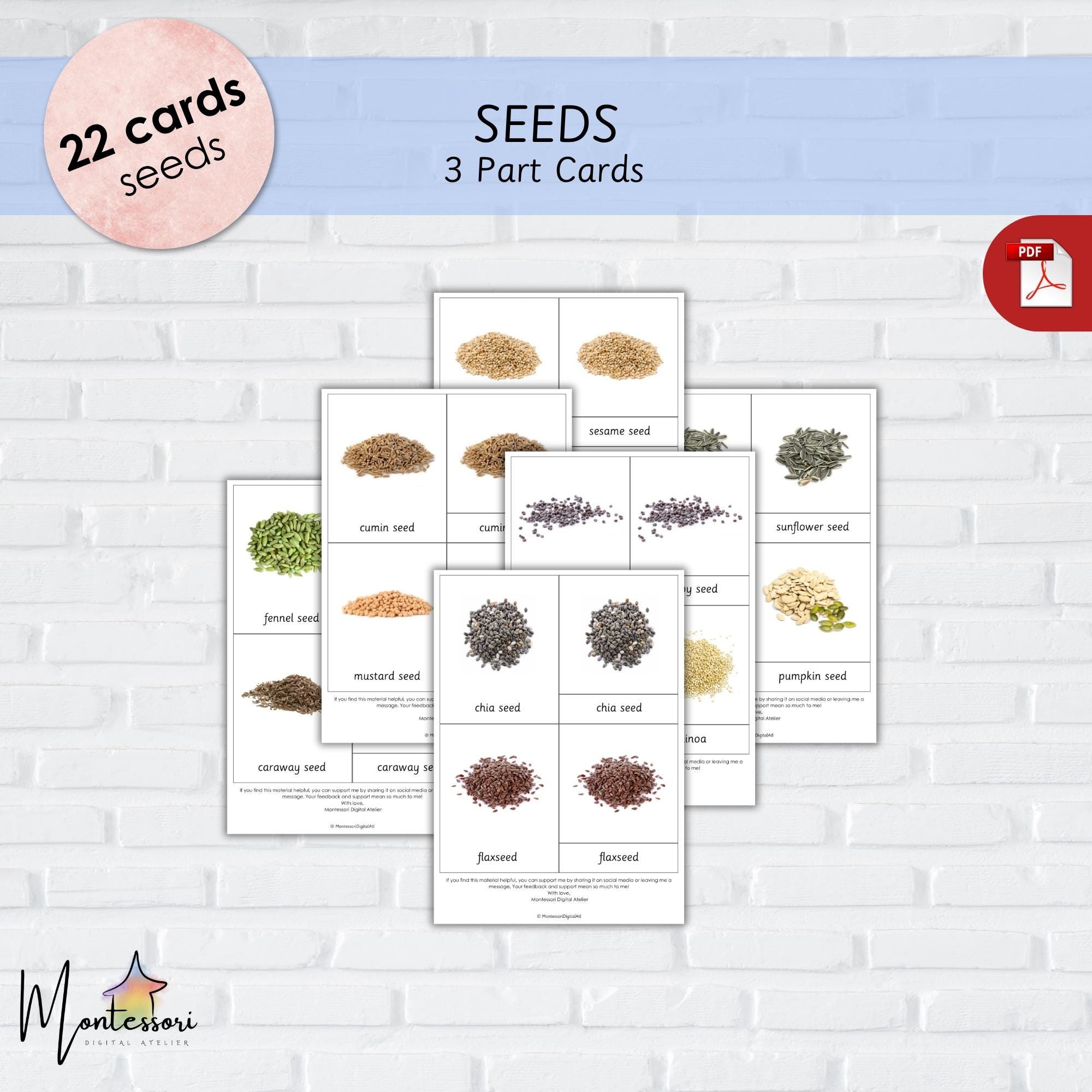Montessori Seeds Flashcards: 3-part Cards, Seed Identification (PDF ...