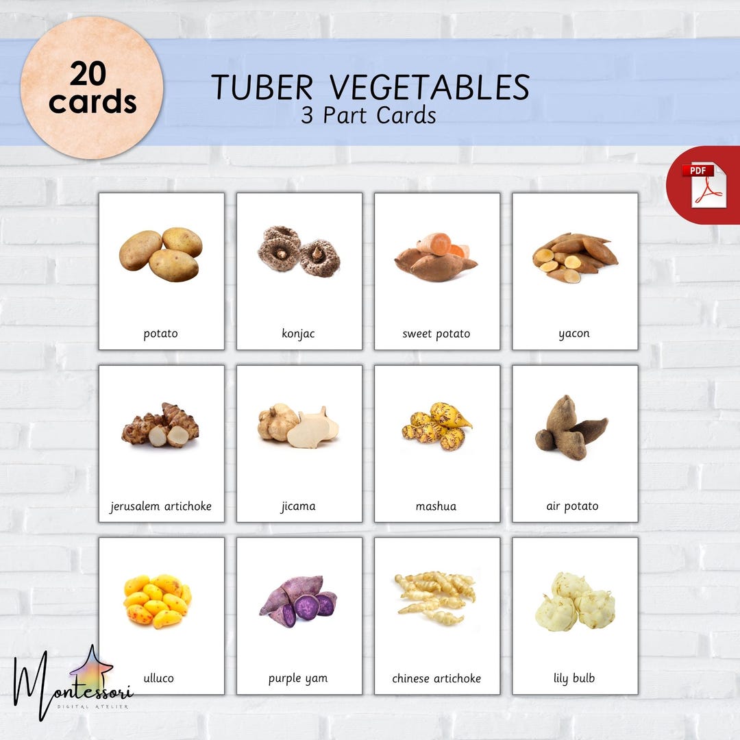 TUBER Vegetables-montessori Tuber Vegetables Cards-tuber Vegetables ...