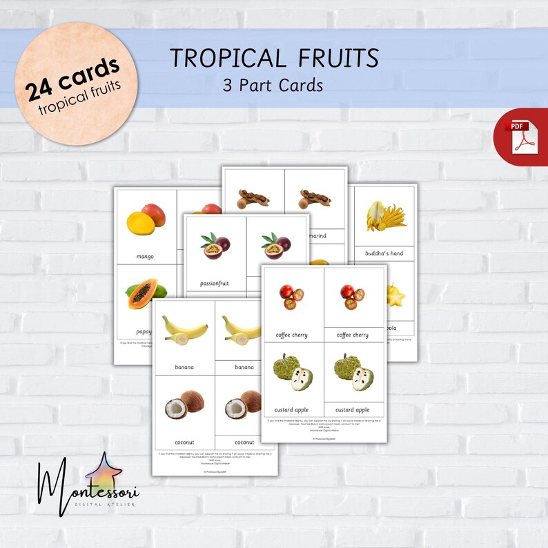 TROPICAL Fruits-montessori Fruits Flashcards for Kids–tropical Fruits ...