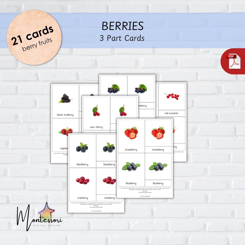 Berries-montessori Fruits Flashcards for Kids–berry Fruits-berries ...