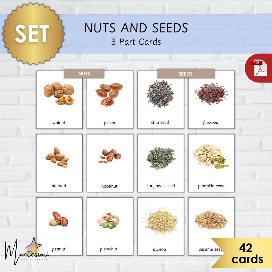 NUTS AND Seeds-montessori 3 Part Cards-nuts and Seed Flashcards Set ...