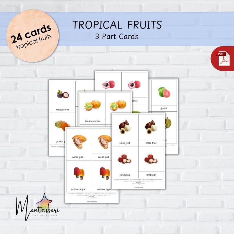 TROPICAL Fruits-montessori Fruits Flashcards for Kids–tropical Fruits ...