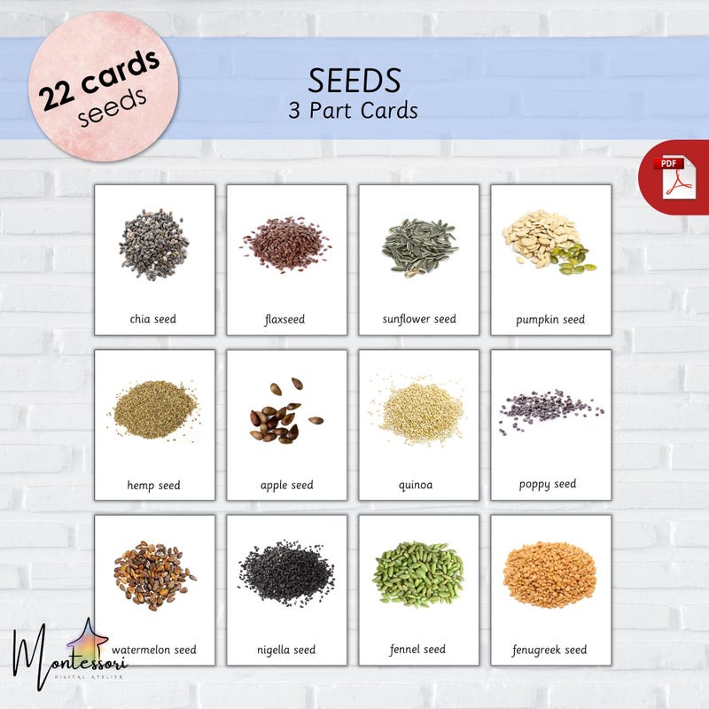 MontessoriDigitalAtl - Etsy